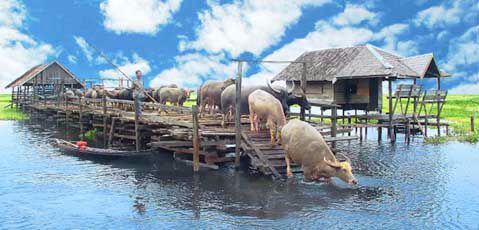 Kalang Hadangan, Salah Satu Destinasi Wisata Nagara | KabarDaerah.com