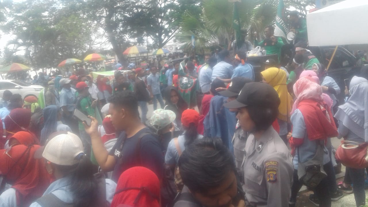 Ribuan Kariawan PT. Rimba Raya Lestari Geruduk Kantor Gubernur Kaltim ...